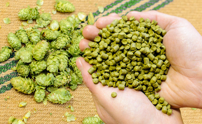 green products offers a full-range of innovative hop and hop products.