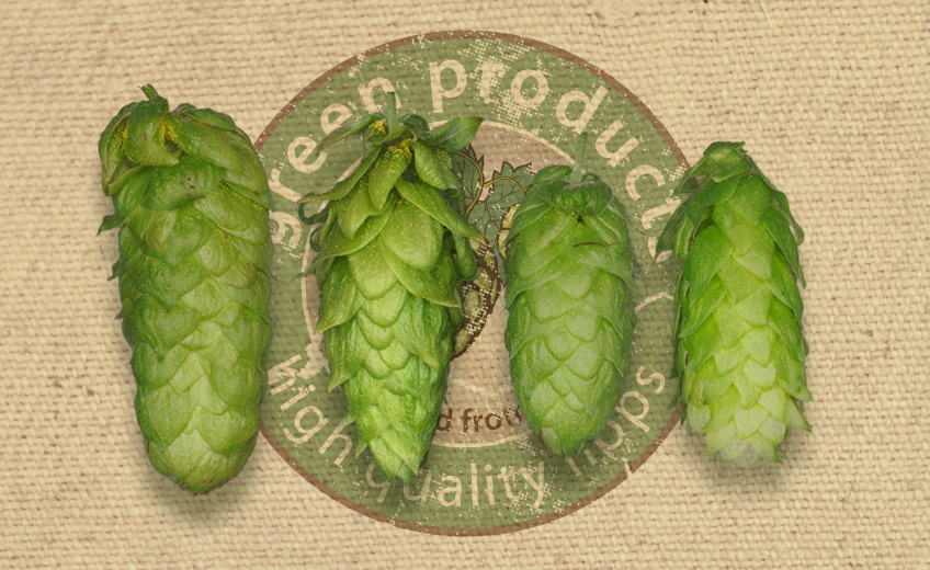 green products - Hopfenhandel mit Hopfenpellets, Rohhopfen, CO²-Extrakt