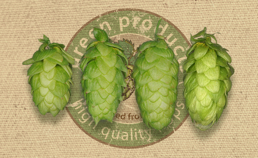 Hops Selection Special Flavourhops, High-quality aroma hops, Fine aroma ...