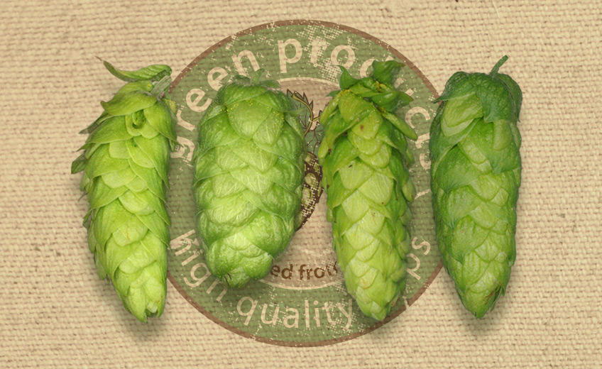 Hops of first-class quality out of the Hallertau. Hops Pellets and more