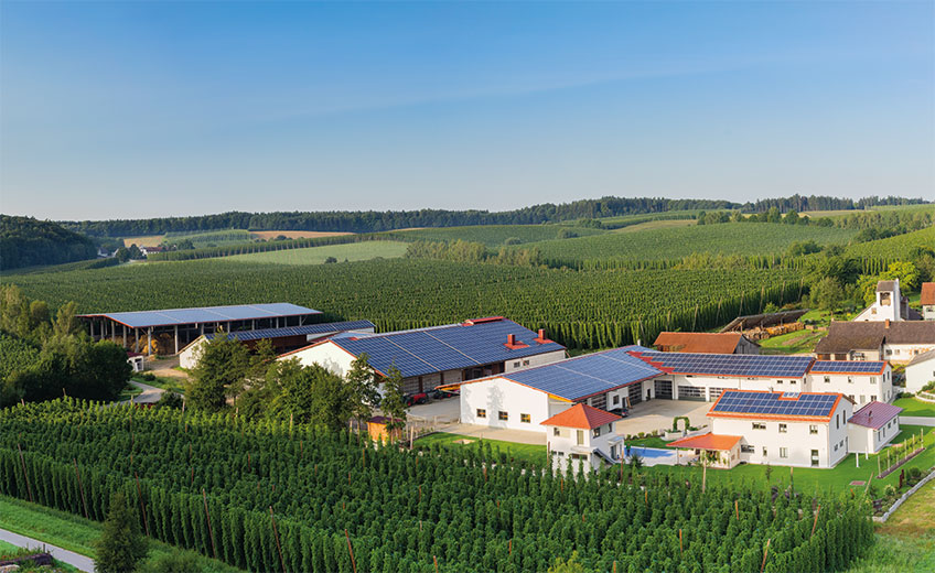 Hopfenhof Kiermeier - Angefangen beim Aromahopfen Opal, Perle ...